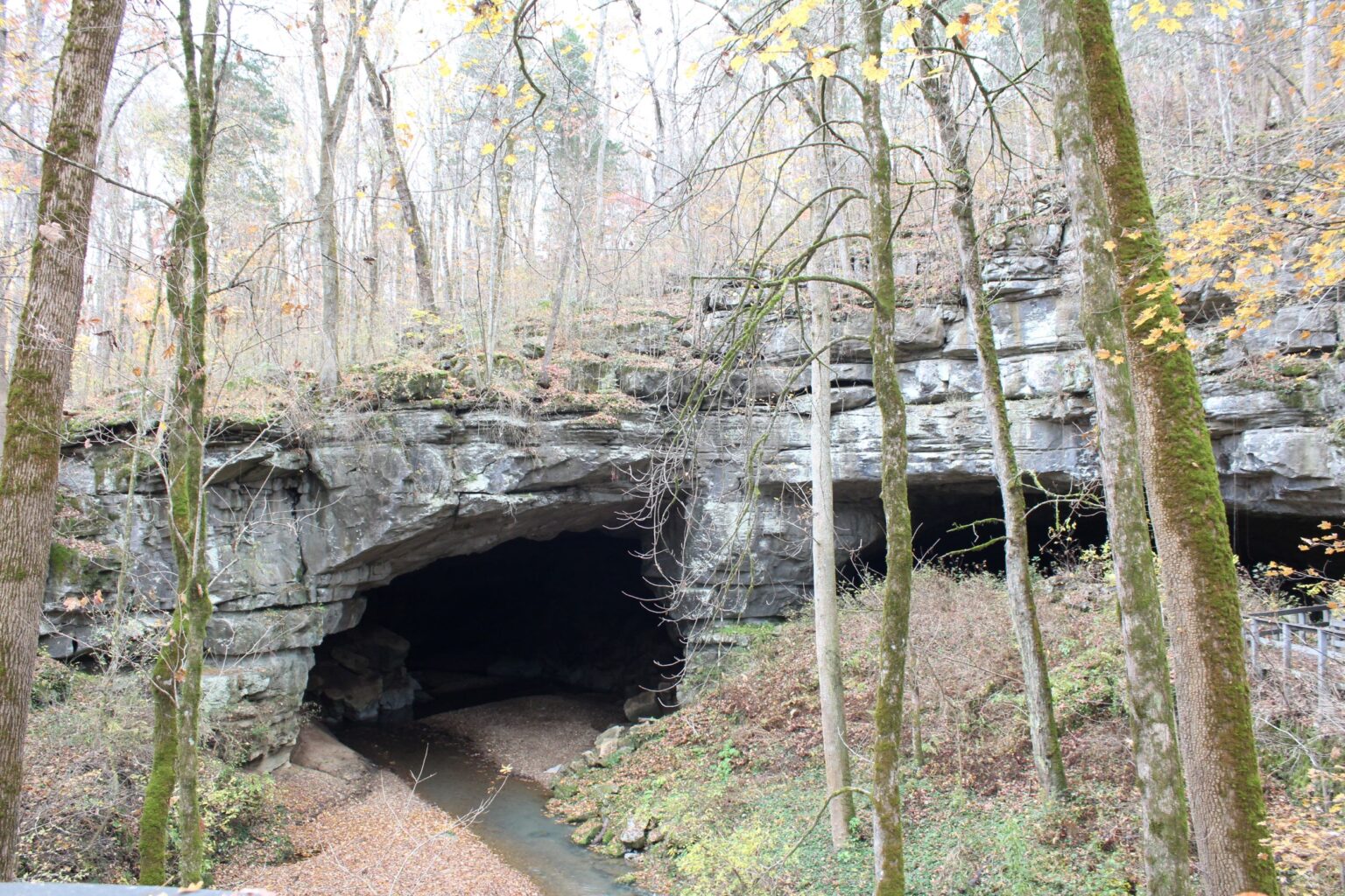 Things To Do Archives - Jackson County, Alabama