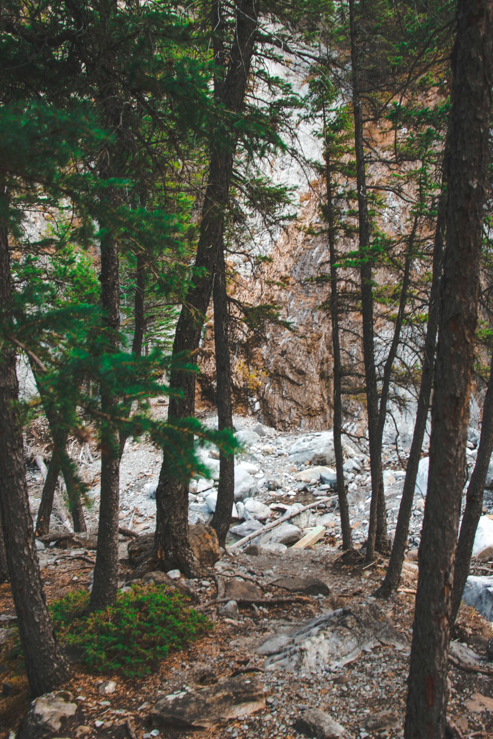 Welcome - Jackson County, Alabama